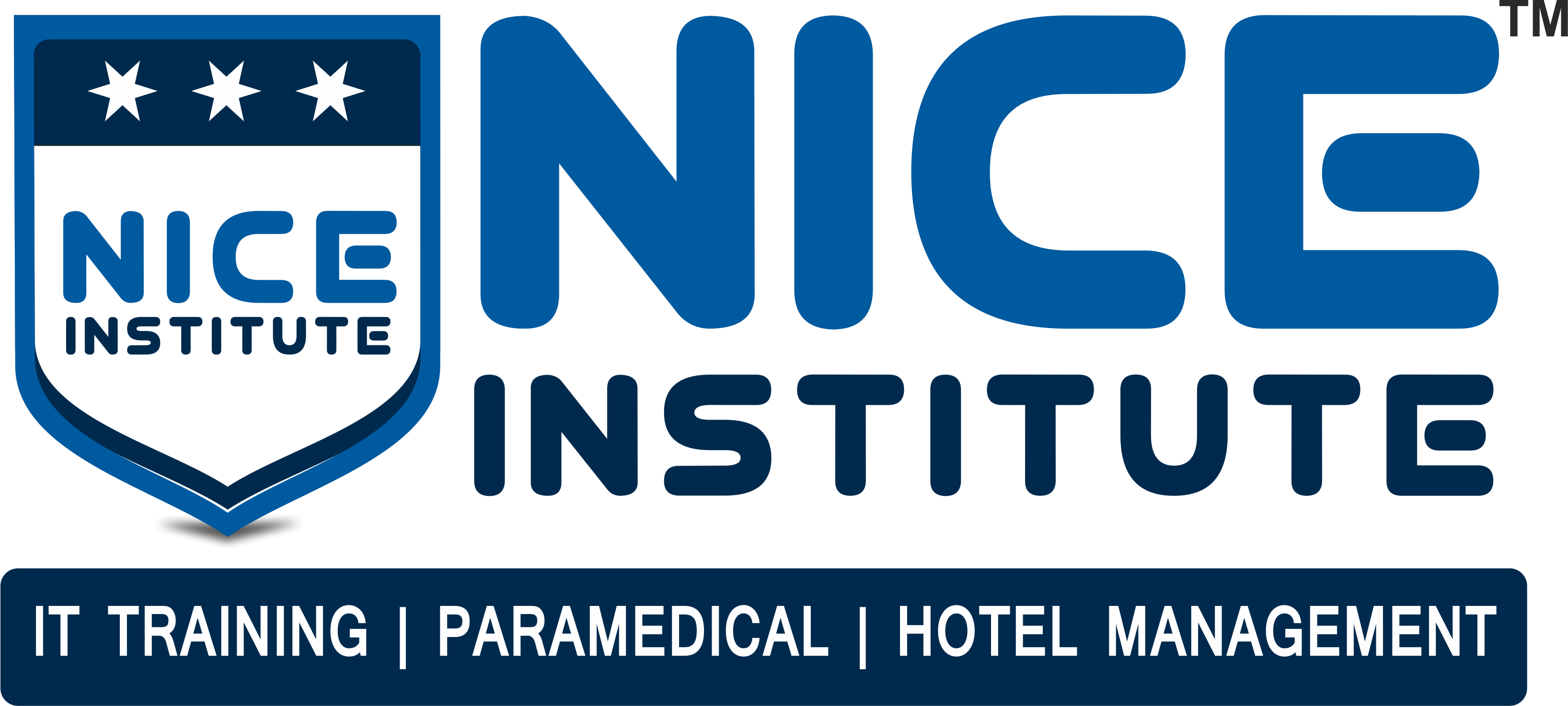 Nice - Institute